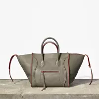 Celine Fall 2011 baagi 10924_5