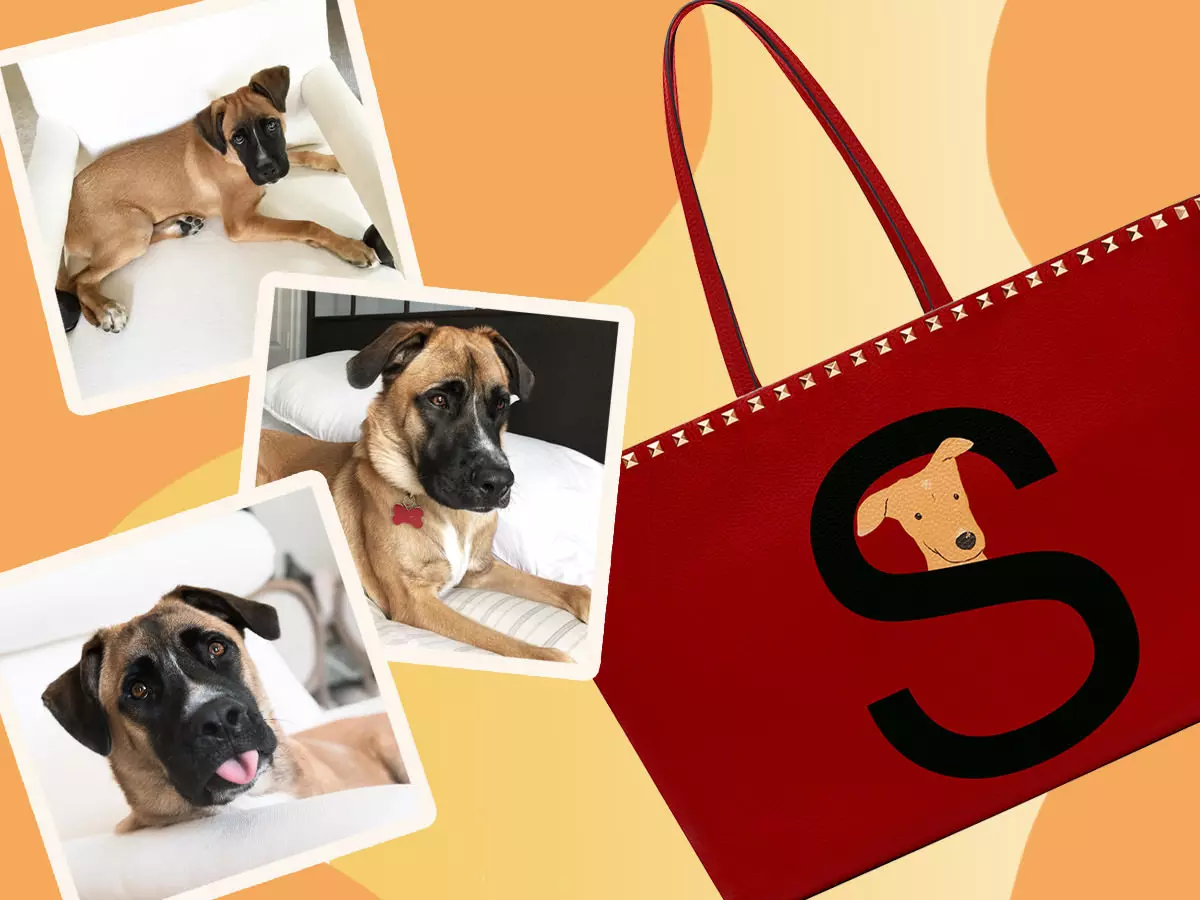 Ekskluzive: Valentino lanson Rockstud Pet