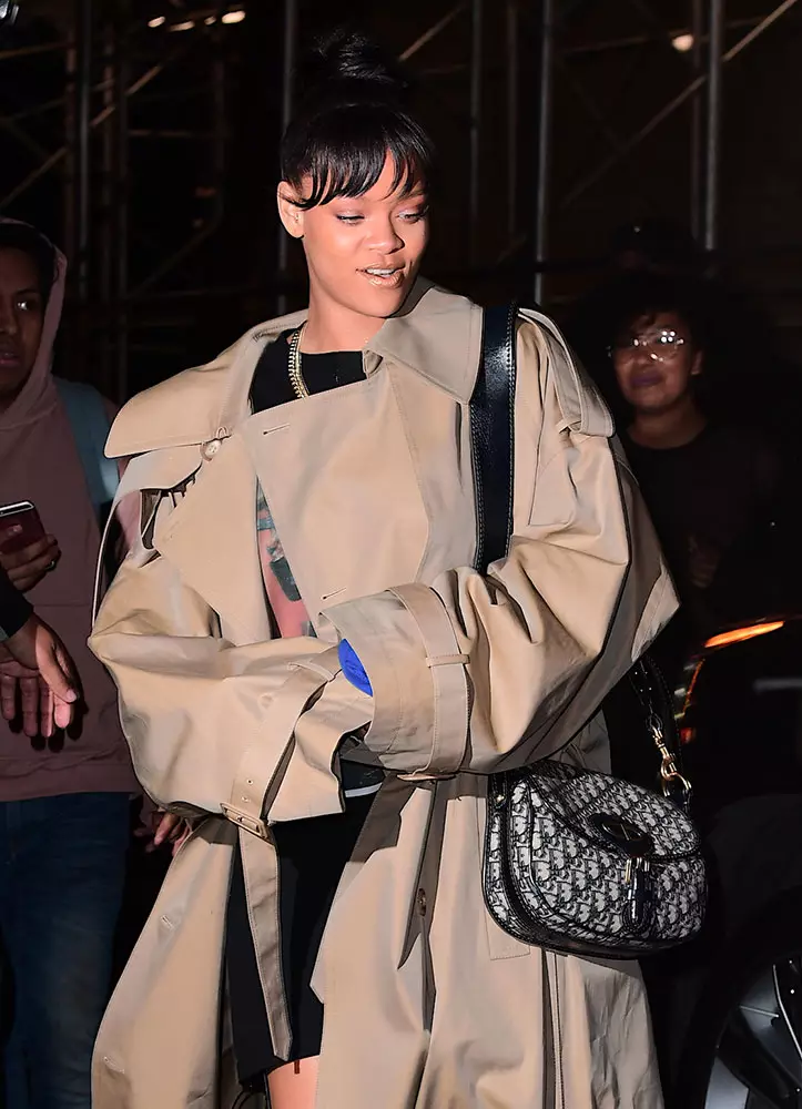 Naanị enweghị ike ị nweta oke: Rihanna na akpa akwa akwa Dior ya 12538_5