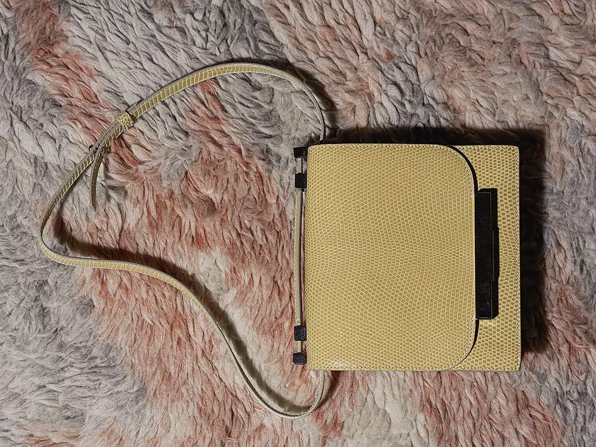 Mini Review: The Row Lizard Shoulder Bag 1261_1