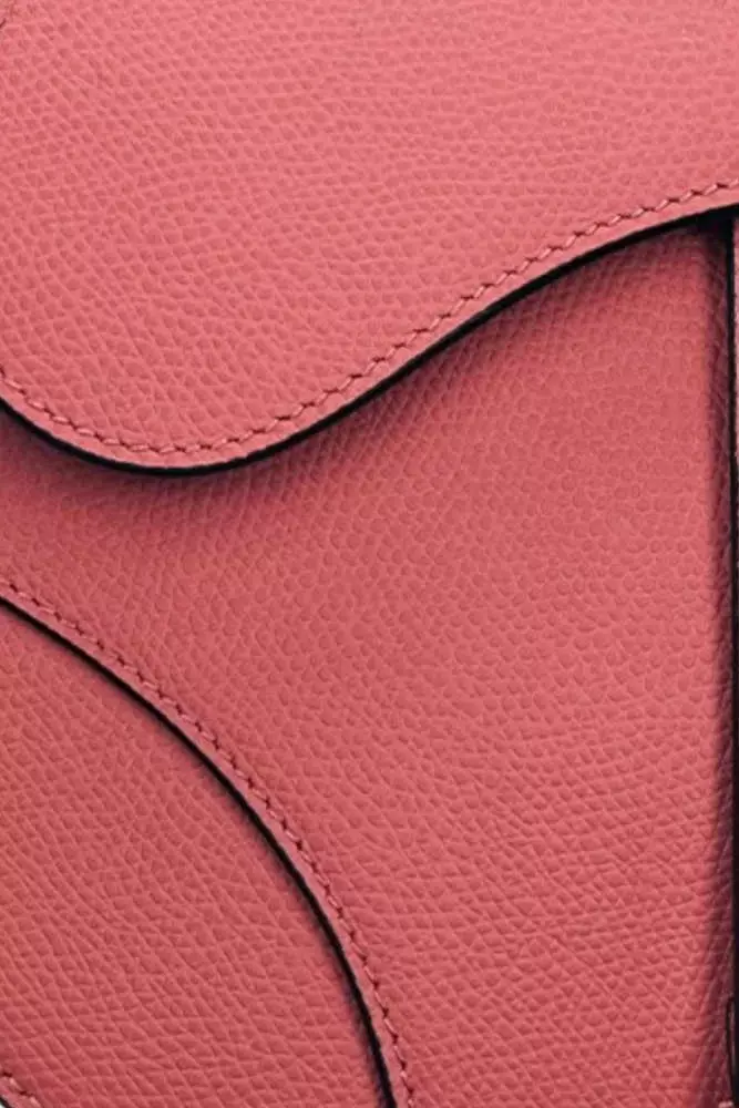 Ultimate Bag Guide: Dior Saddle Bag 1324_24