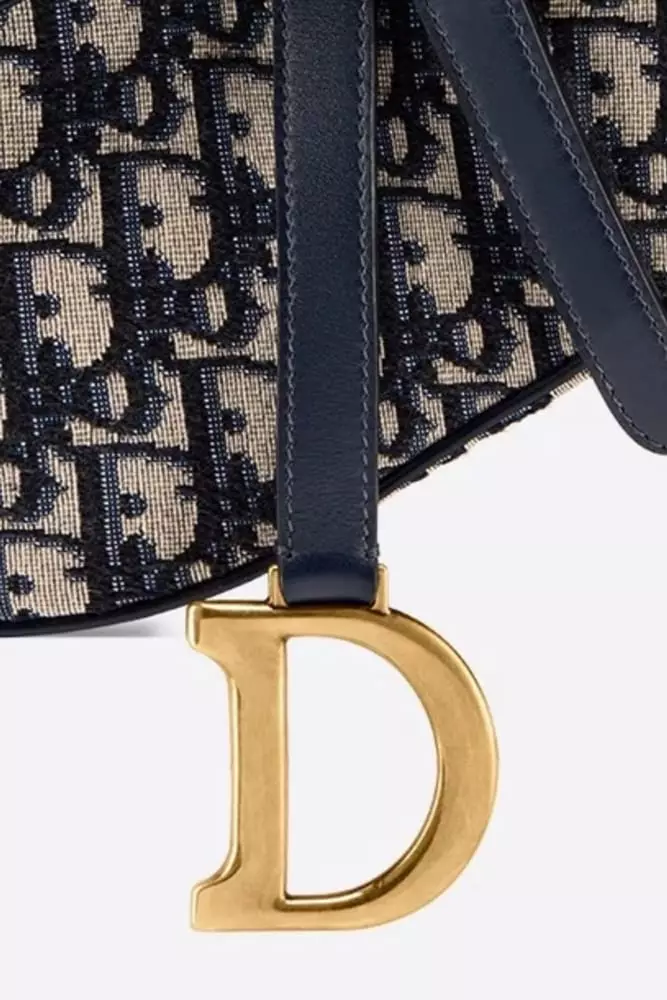 Ang Ultimate Bag Guide: Dior Saddle Bag 1324_32