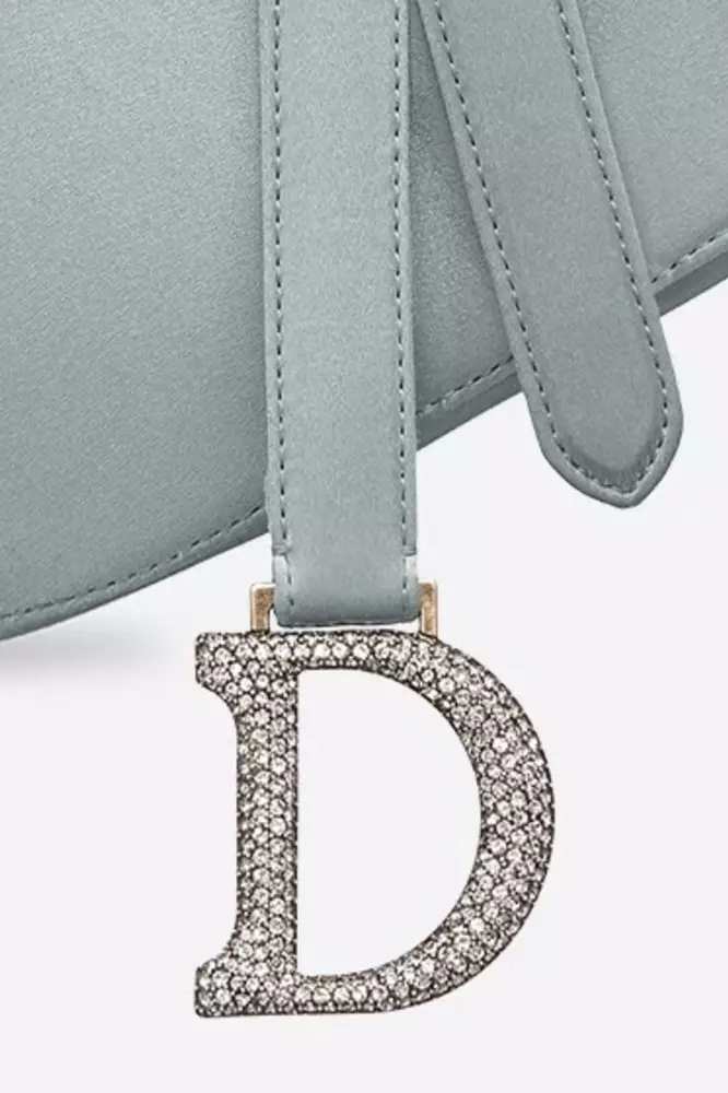 The Ultimate Bag Guide: Dior Saddle Bag 1324_34