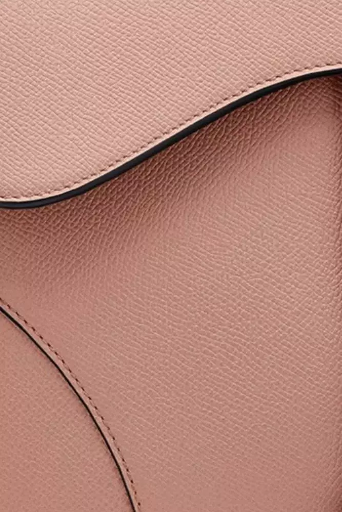 The Ultimate Bag Guide: Dior Saddle Bag 1324_6