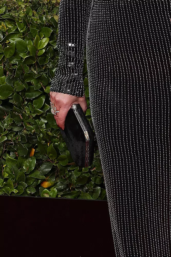 Golden Globes Delivre Judith Leiber, Jimmy Choo ak Fendi 1503_7