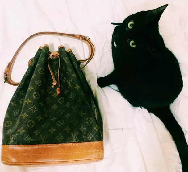 Kucing Hitam LV Vintage