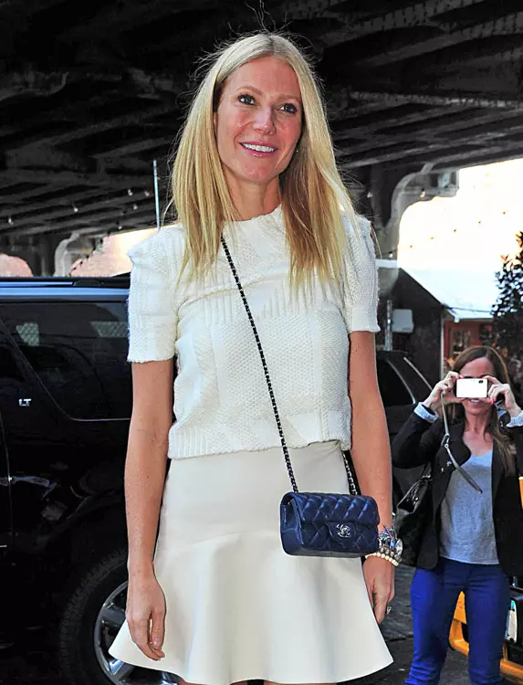 La Multaj Sakoj de Gwyneth Paltrow (16)