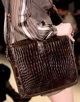 Fashion Week Fall 2010: Ferragamo Handbags 17186_19