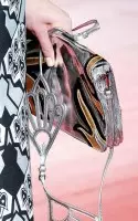 फेसन वीक ह्यान्डब्यागहरू: Miu Miu Spring 2011 17971_12