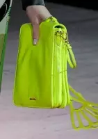 Bolsos da Semana da Moda: Miu Miu Primavera 2011 17971_4