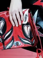 Mga Handbag sa Fashion Week: Miu Miu Spring 2011 17971_6