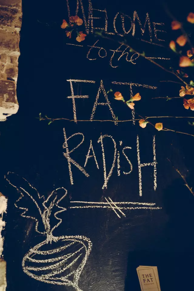 PBeats-Fat-Radish-9