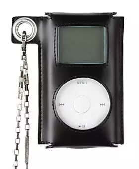 Стиликтүү iPod корпустарынын жыйындысы 23720_2