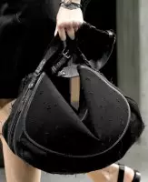 Fashion Week Handbags: Bottega Veneta Prentan 2011 23984_17