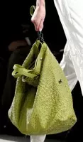 Atofa'i Fa'ata'ita'i Vaiaso: Bottega Veneta Spring 2011 23984_21