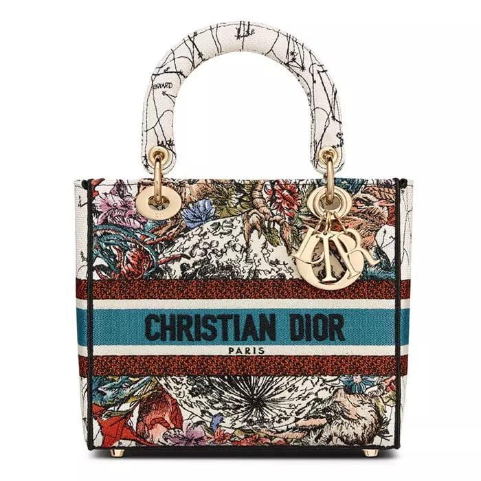 21 年冬季 Dior 黃道帶和星座印花 315_5