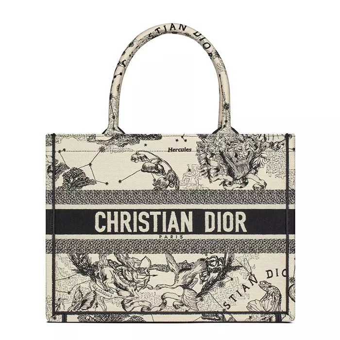 21 年冬季 Dior 黃道帶和星座印花 315_8