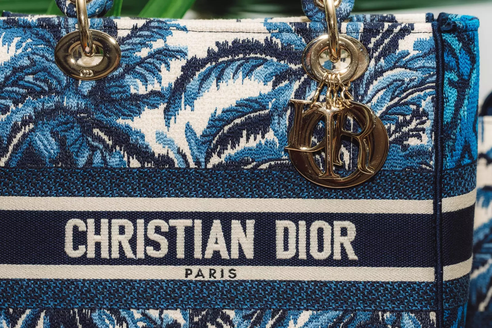 Sa Panahon sa Ting-init, Pagpaila sa Dior Palms Embroidery 579_2