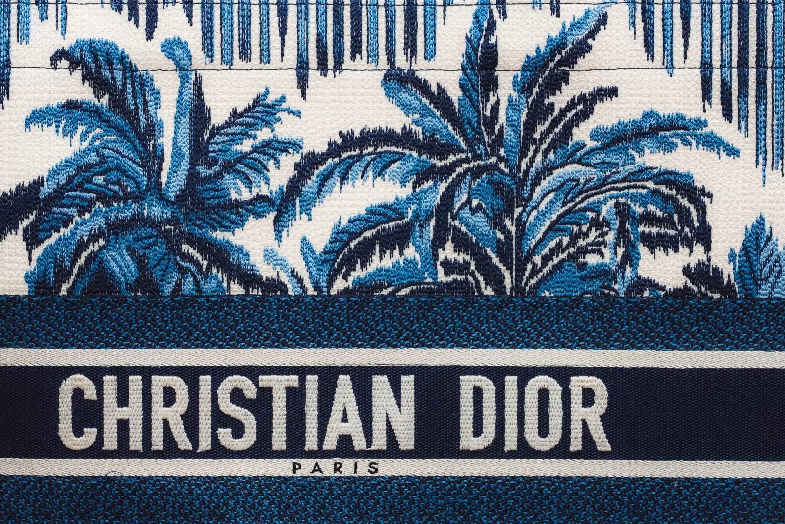 Sa Panahon sa Ting-init, Pagpaila sa Dior Palms Embroidery 579_7