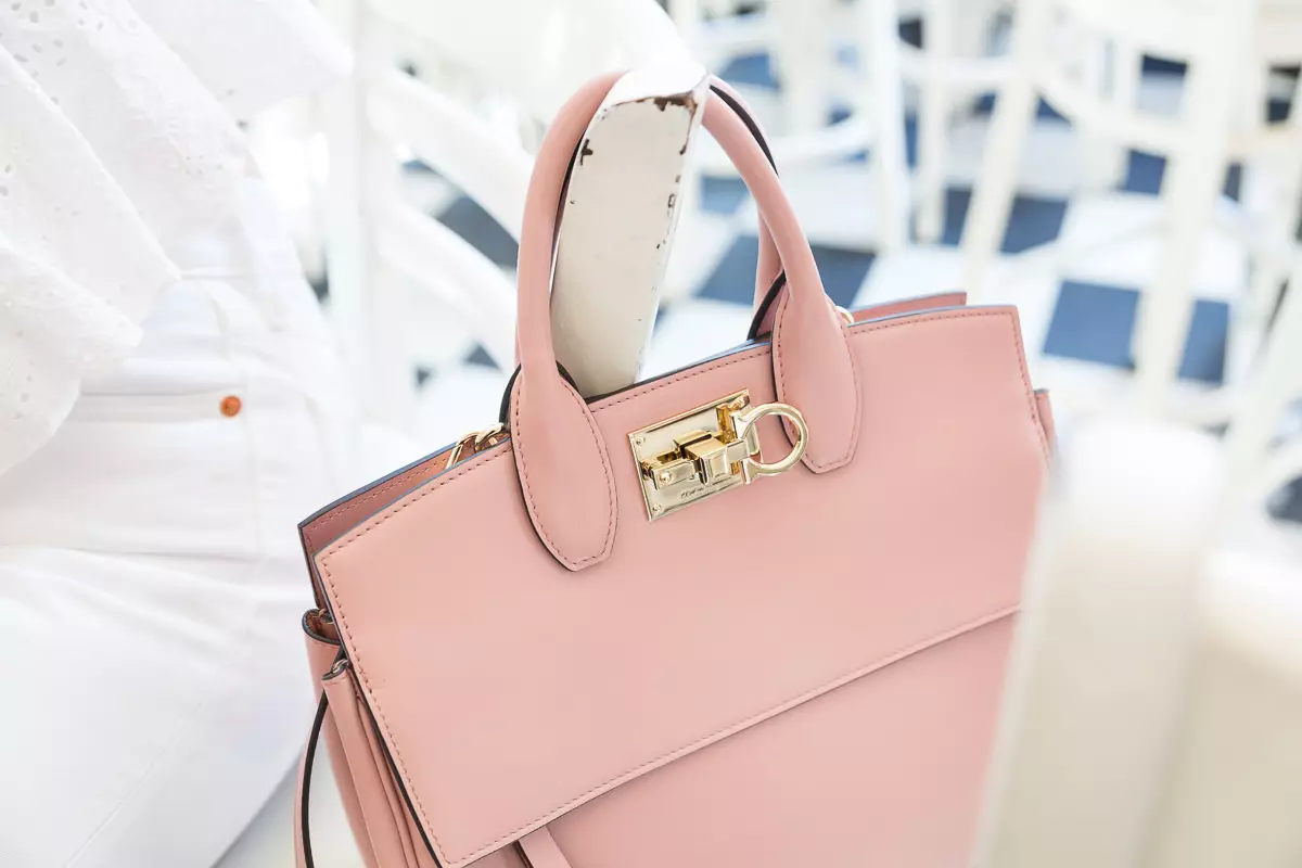 Nasandina Ferragamo Studio Bag 5869_7