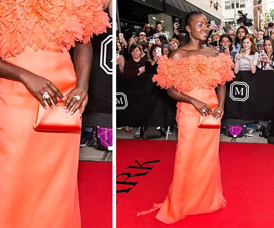 Mais de 20 das melhores bolsas do tapete vermelho do Met Gala 2017 6884_15