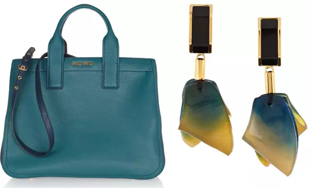 Miu Miu Tote Bag en Marni Resin Earrings