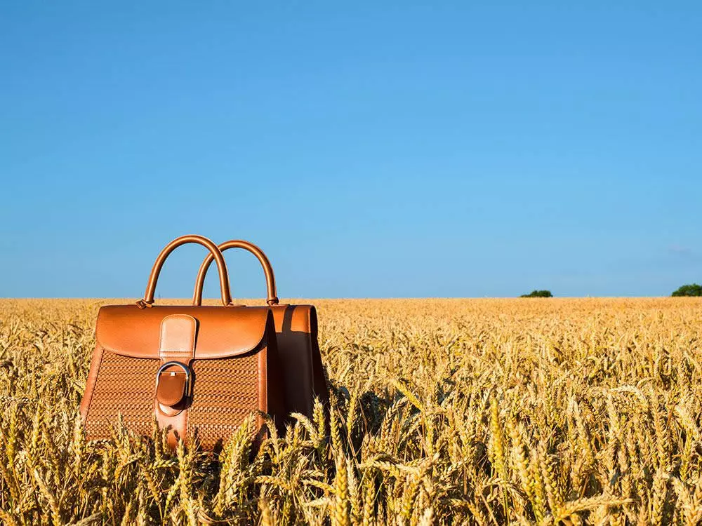 Delvaux Printemps 2015 1