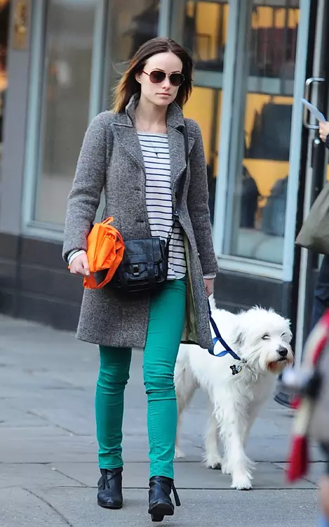 D'Olivia Wilde trëppelt hiren Hond mat engem Proenza Schouler Pouch op hirer Säit 9166_3