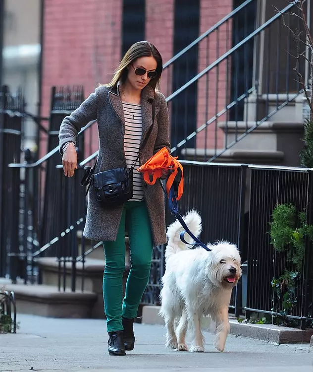 D'Olivia Wilde trëppelt hiren Hond mat engem Proenza Schouler Pouch op hirer Säit 9166_5