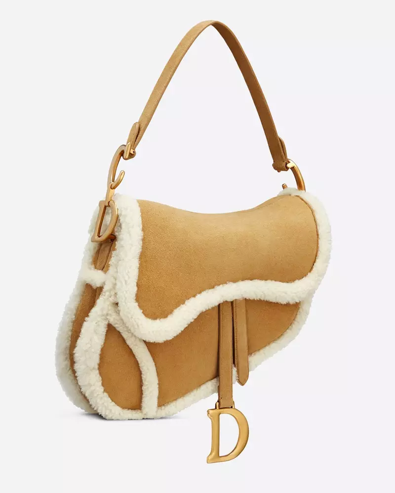 Dior's Iconic Saddle Bag 2020 ශීත ඍතුව සඳහා යාවත්කාලීනයක් ලබා ගනී 963_2